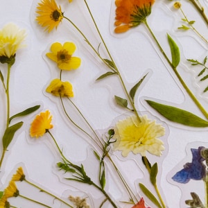 Yellow Flowers Sticker Set, Wild Flower Bouquet Stickers, Wildflowers ...