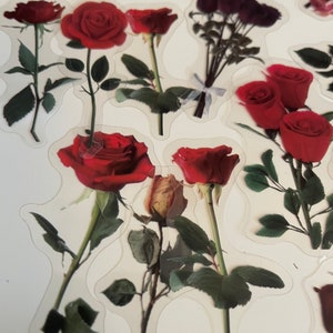 Dark Red Rose Pink Flowers Sticker Set, Rose Stickers, Wild Flower ...