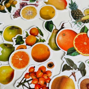 Mix Fruits Sticker Set, Berry Stickers, Fruity Stickers, Strawberry ...