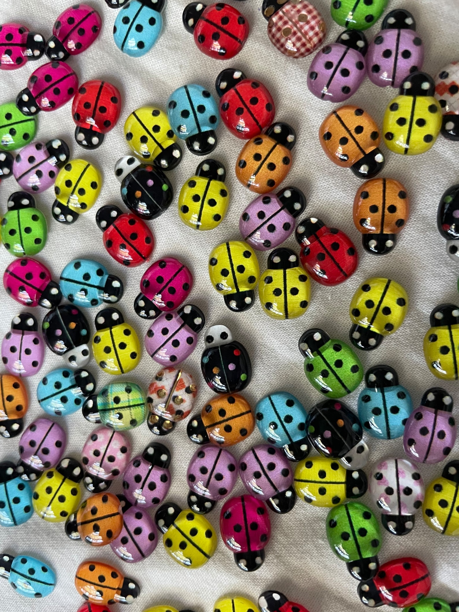 Lady Bug/bee Resin Decorations / Bee Decorations/ Bee Card Making ...