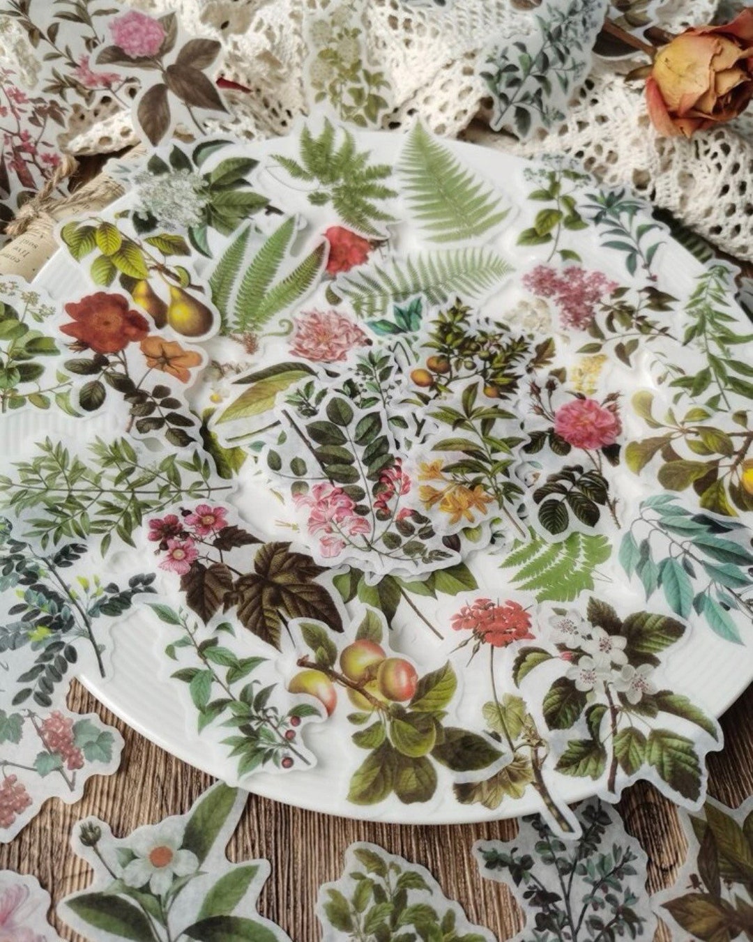 10 Mixed Leave Sticker Pack |white Backed | Realistic | Floral Stem ...