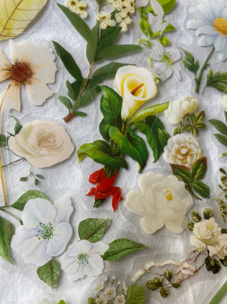 10 White Flowers Sticker Set Lily Stickers Rise Daisy - Etsy