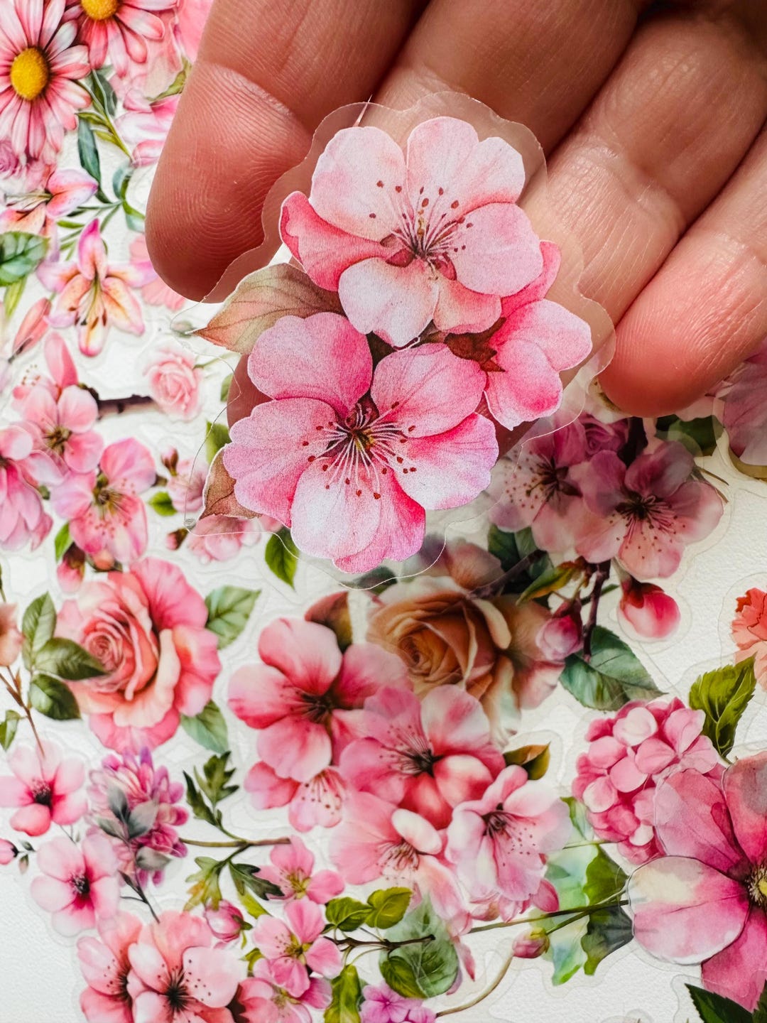 Pink Blossom Flowers Sticker Set, Sakura Blossom Stickers, Lily, Peony ...