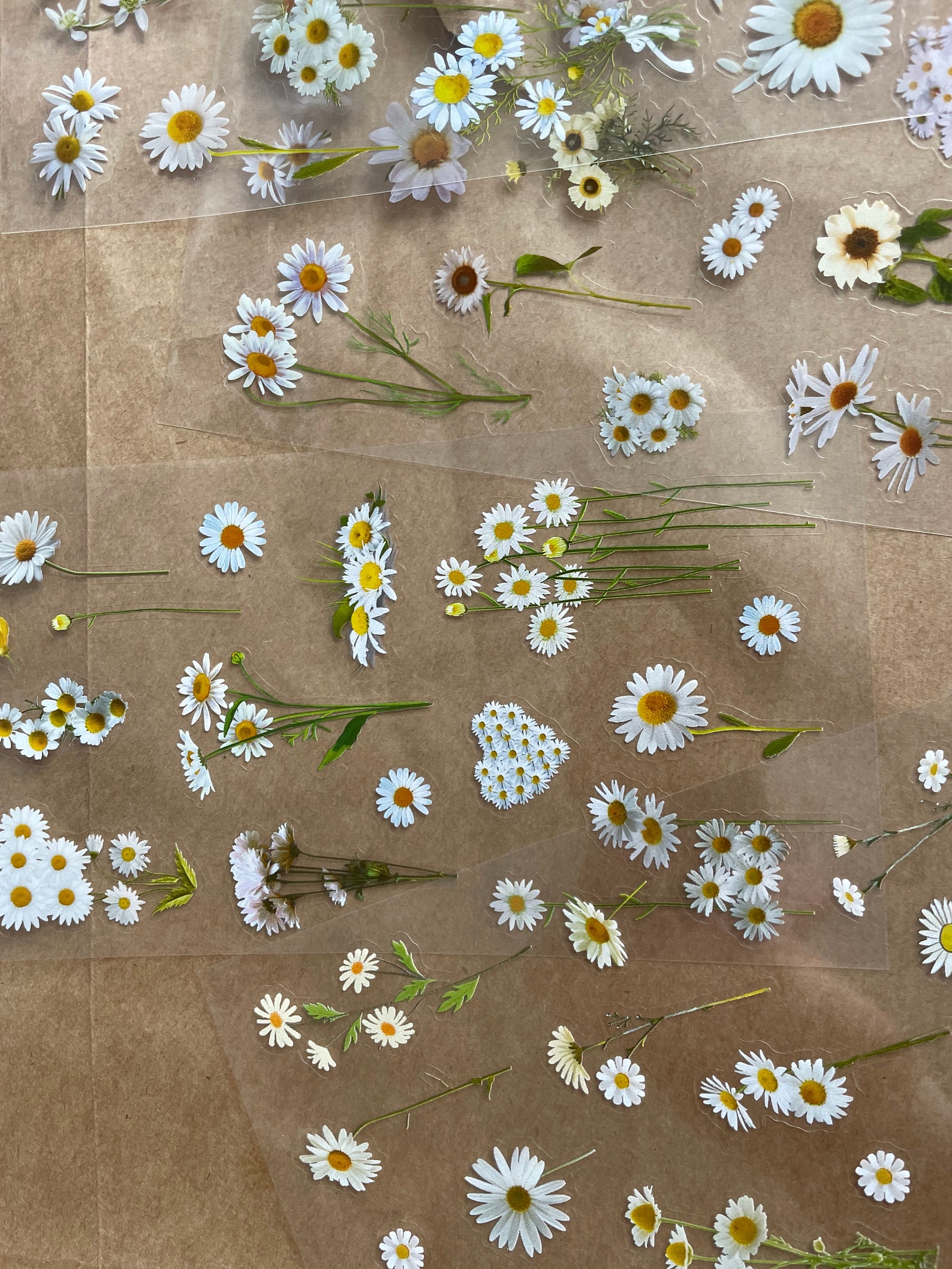 Daisy Flowers Sticker Sheet, Flower Stickers, Meadow , Daisy Stickers ...