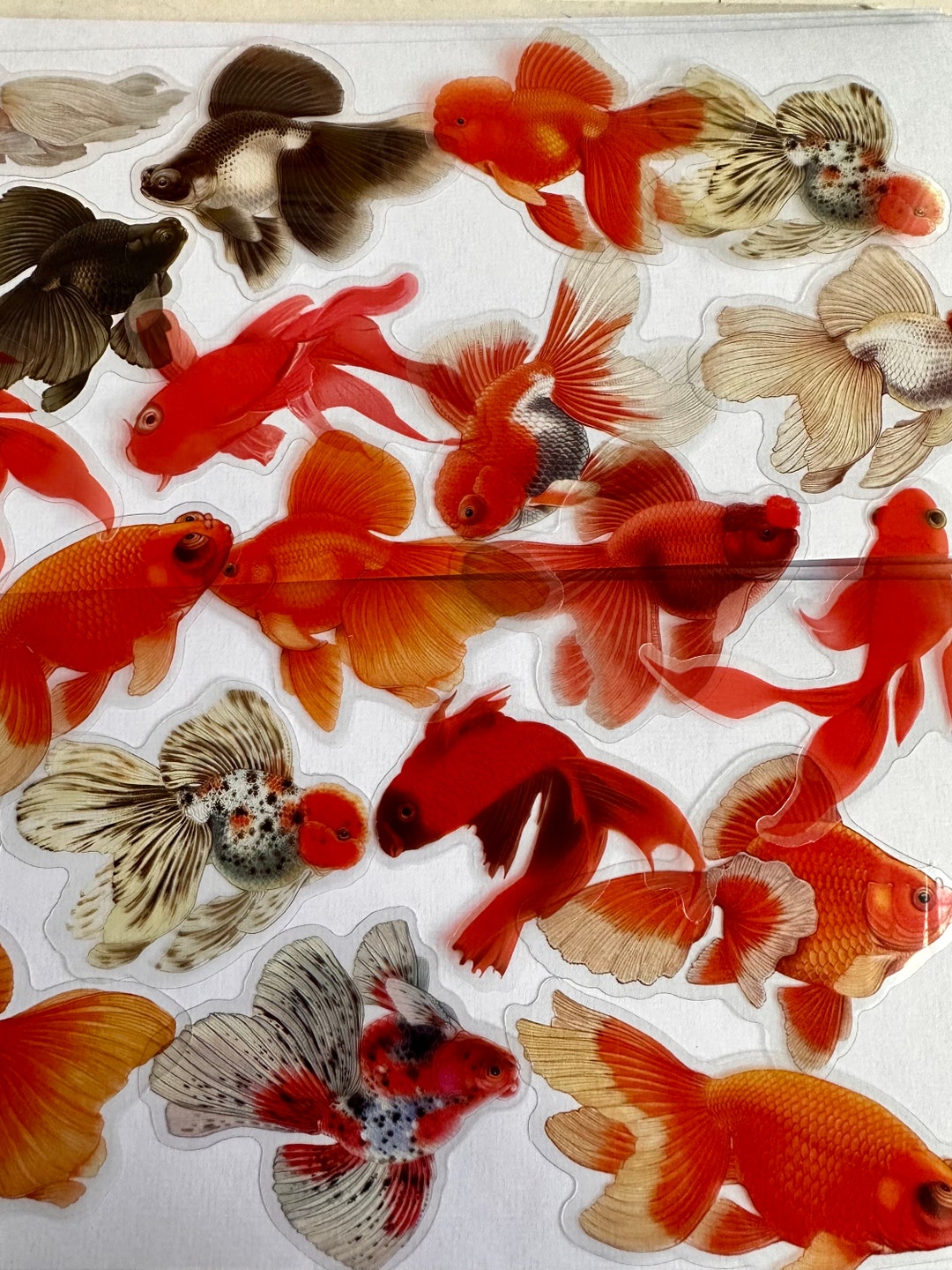 Set of Goldfish, Fish Marine Stickers | Nature Stickers | Journal ...