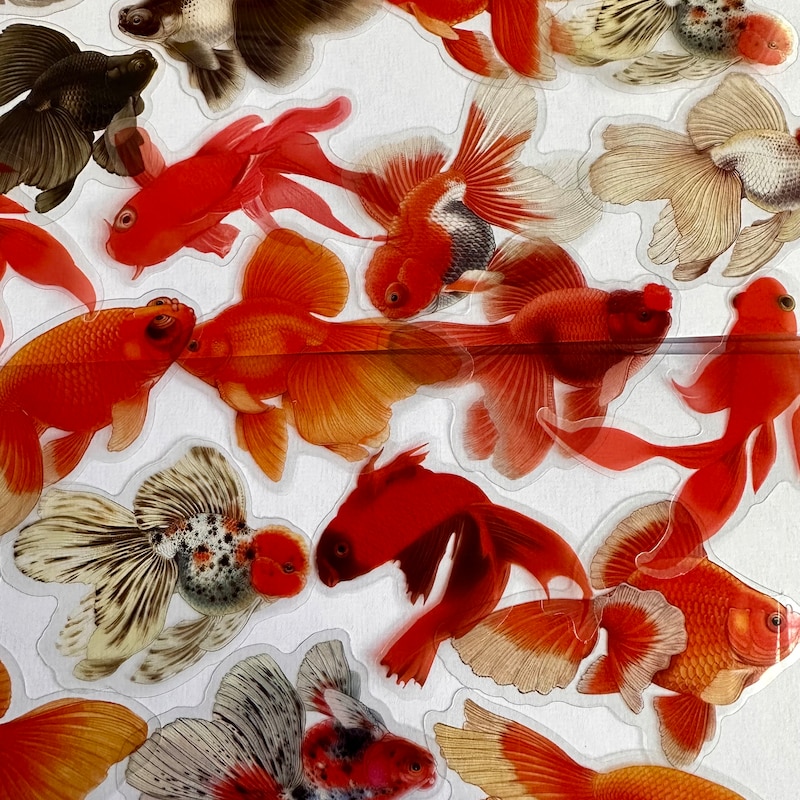 Goldfish - Etsy