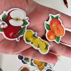 Mix Fruits Sticker Set, Berry Stickers, Fruity Stickers, Strawberry ...