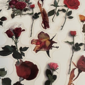 Dark Red Rose Pink Flowers Sticker Set, Rose Stickers, Wild Flower ...