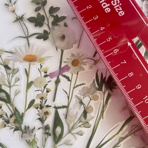 10 White Flowers Sticker Set, Lily Stickers, Rise, Daisy Stickers ...