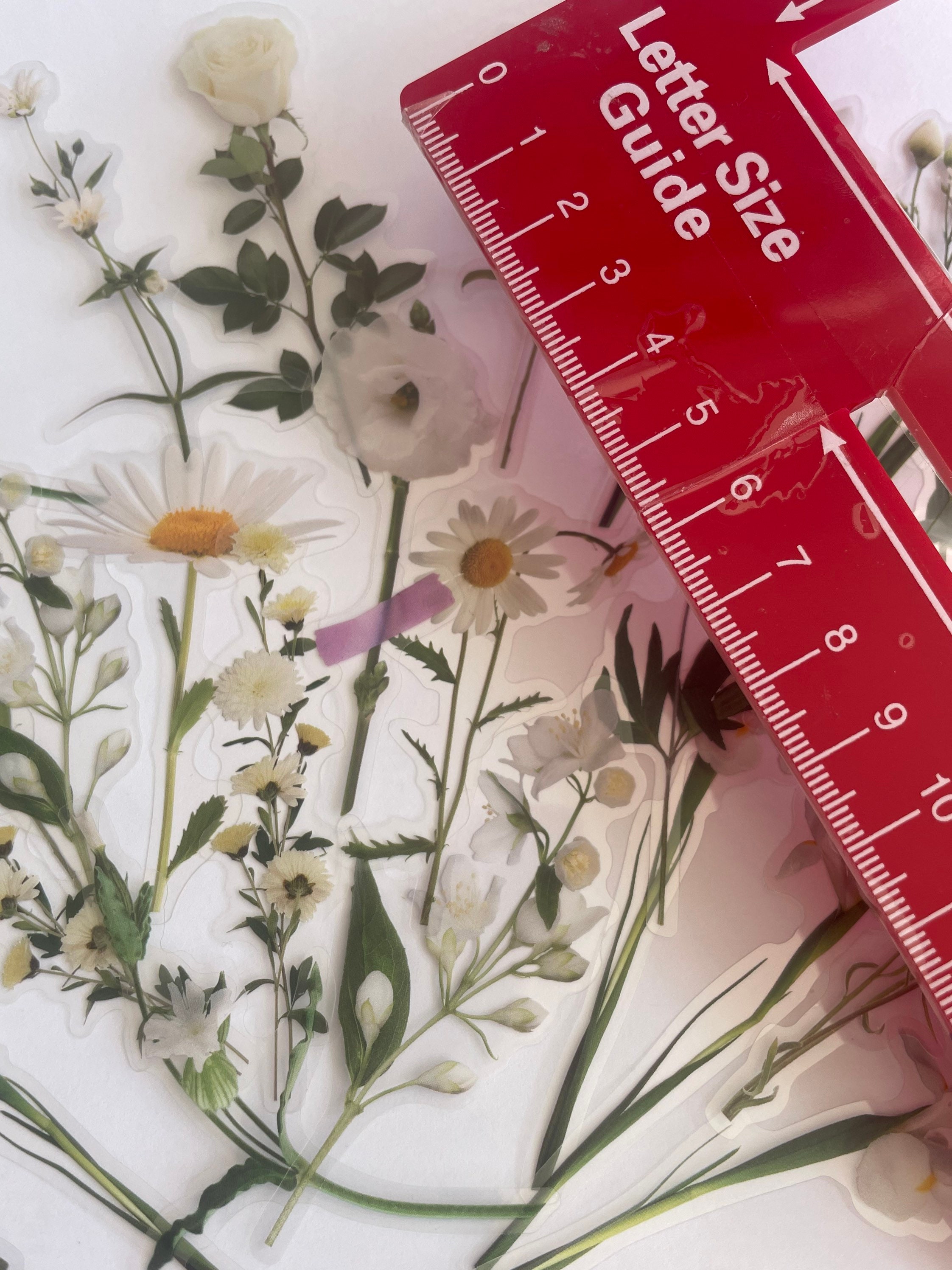 10 White Flowers Sticker Set Lily Stickers Rise Daisy - Etsy