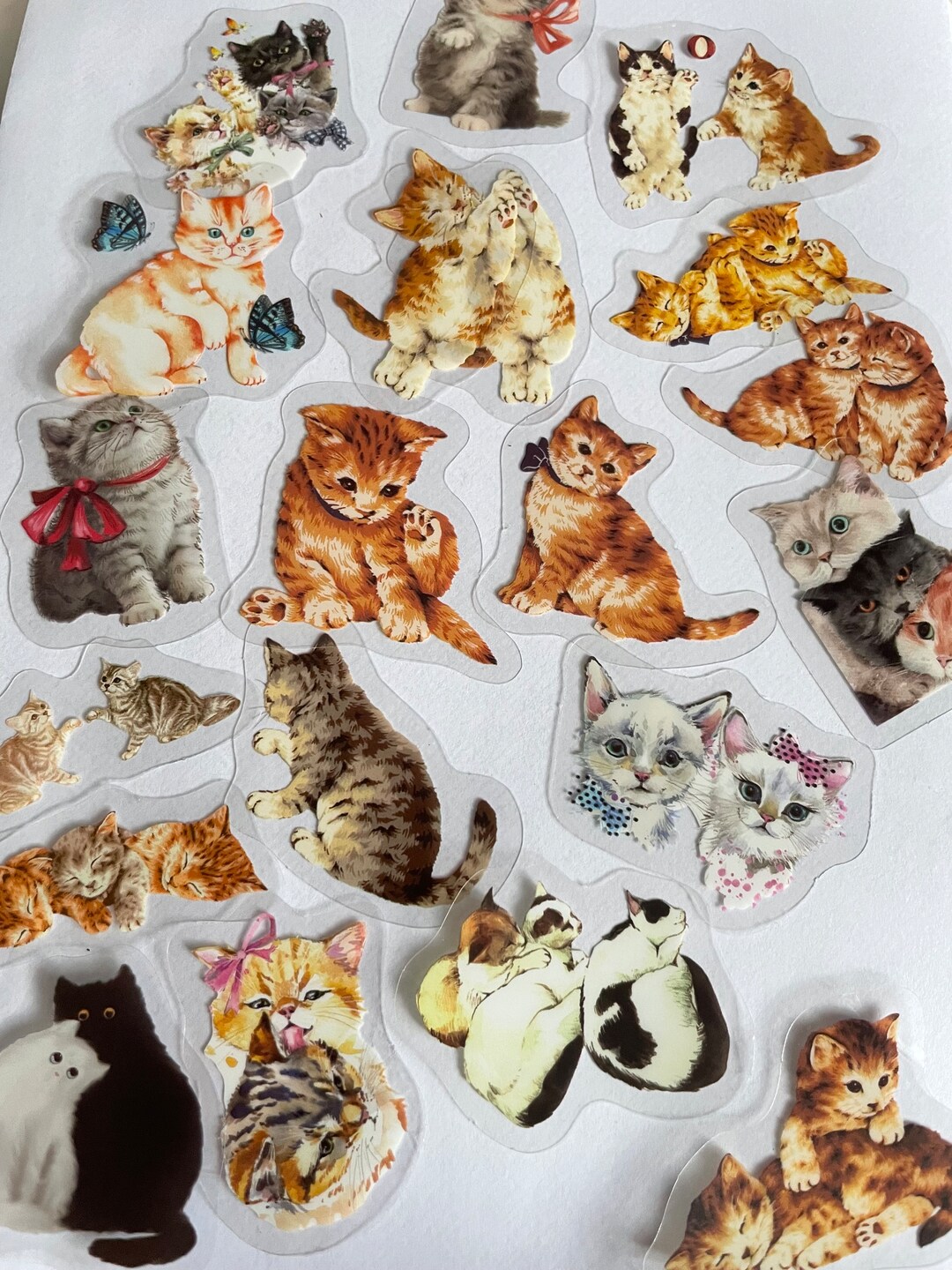 Mixed Cat Stickers, Gibger, Tabby, Ragdoll, Grey Cat, Diary Stickers ...