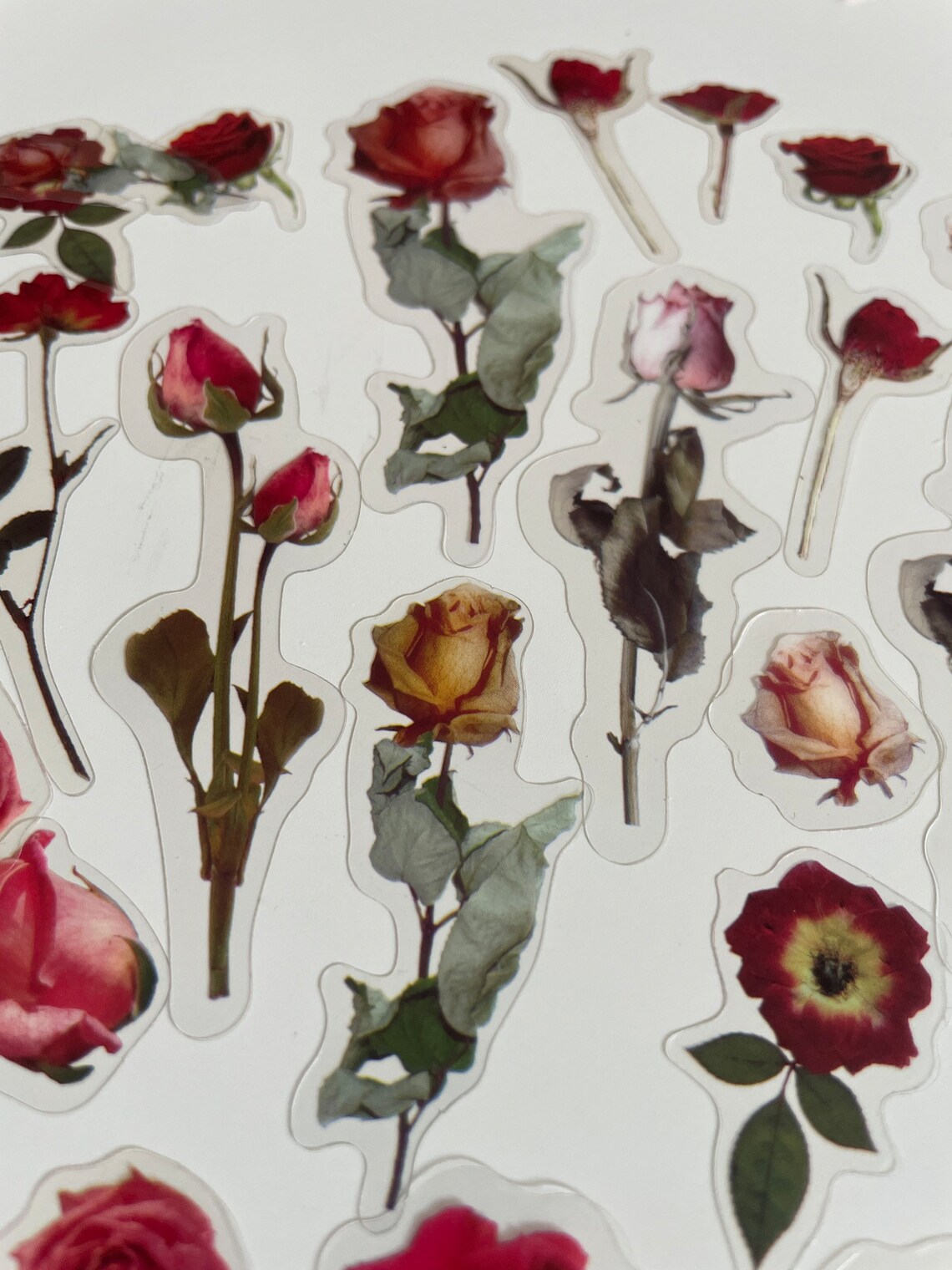 Red Rose Pink Flowers Sticker Set, Rose Stickers, Wild Flower Bouquet ...