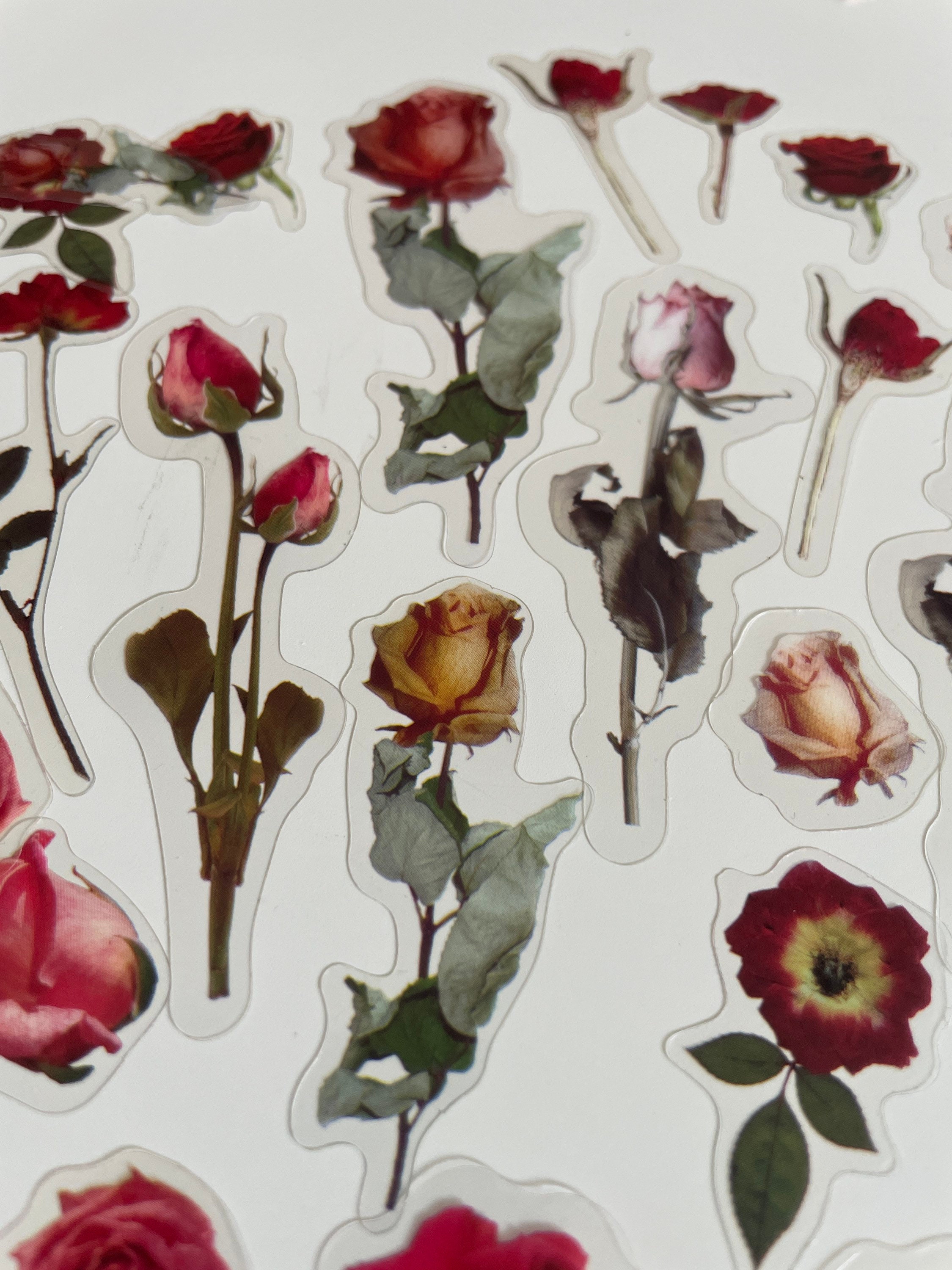 Red Rose Pink Flowers Sticker Set, Rose Stickers, Wild Flower Bouquet ...