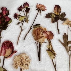 10 Dried Flower Stickers, Journaling Stickers, Pressed Flower Stickers ...
