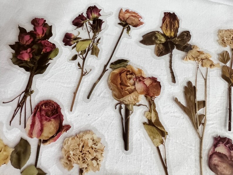 10 Dried Flower Stickers, Journaling Stickers, Pressed Flower Stickers ...