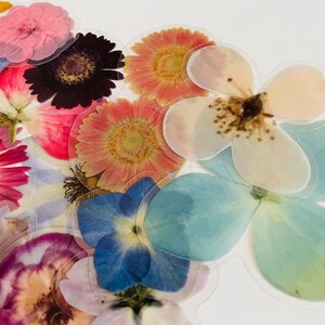 10 Pressed Flower Sticker Pack | Waterproof Reusable Set | Clear Backed ...