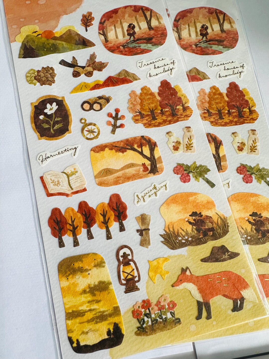 Woodland Animals/ Camping / Fall Leaves / Woodland Night Sky / Pink ...
