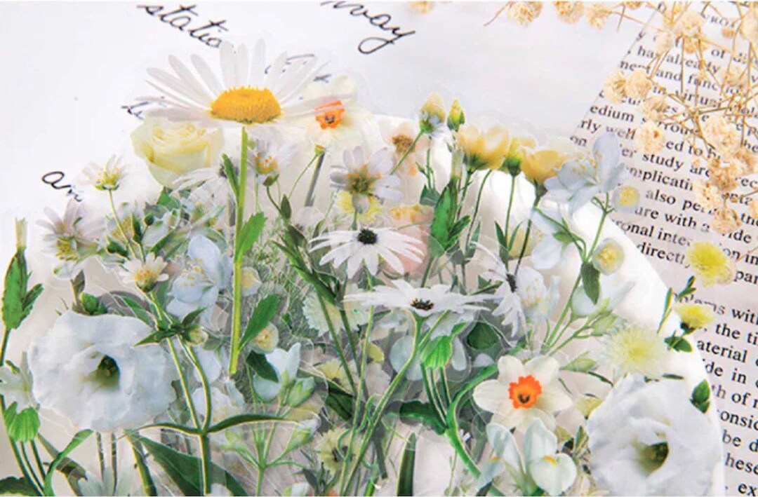 10 White Flowers Sticker Set, Lily Stickers, Rise, Daisy Stickers ...