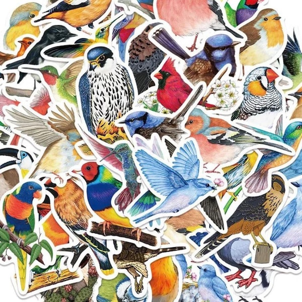 Vinyl Birds - Etsy UK