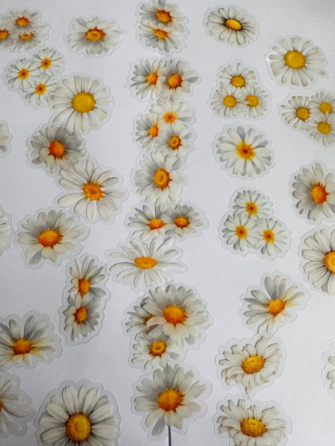 10 Daisy Flowers Sticker Set, Flower Stickers, Meadow , Daisy Stickers ...
