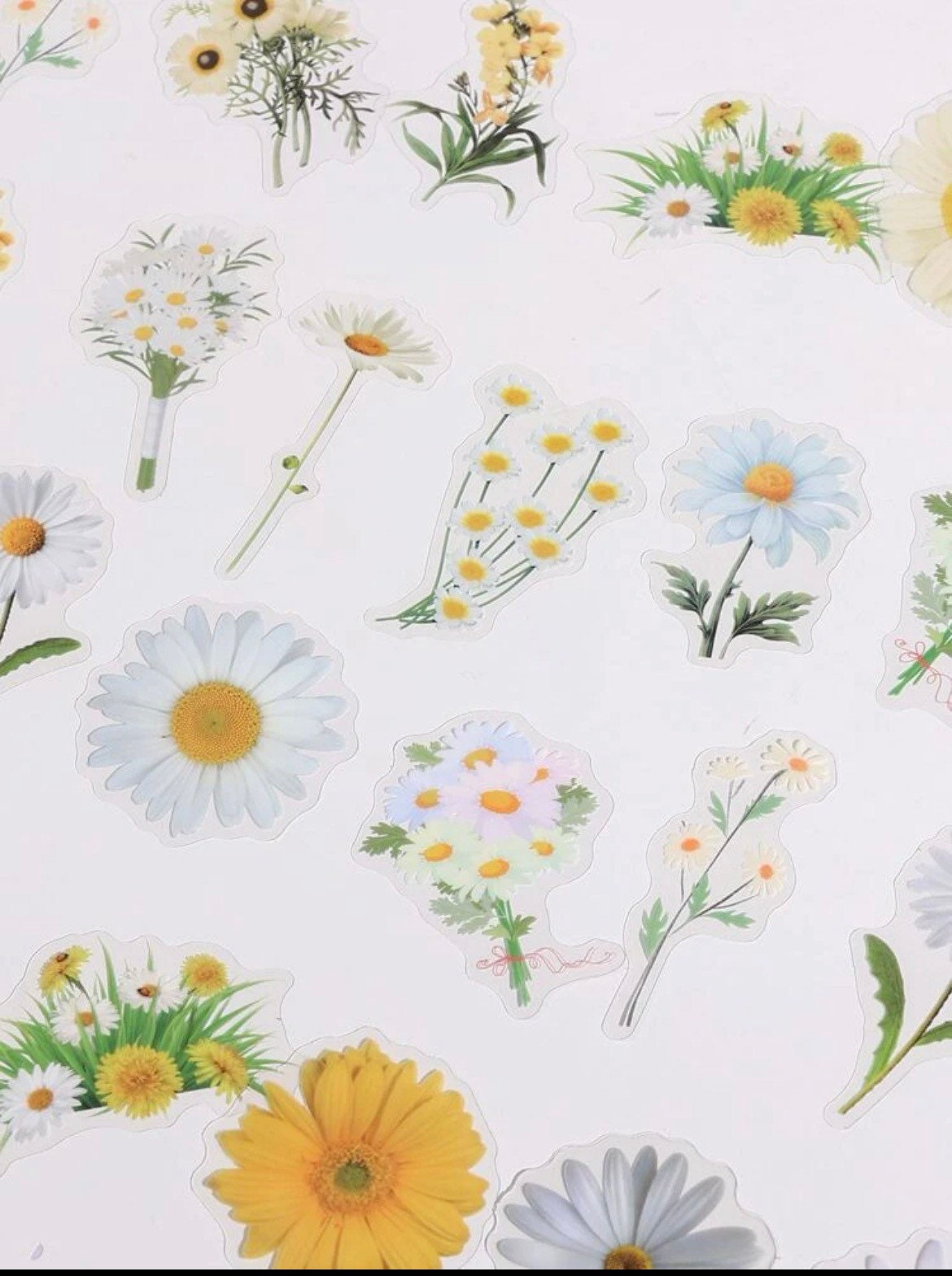 10 Daisy Flowers Sticker Set, Flower Stickers, Meadow , Daisy Stickers ...