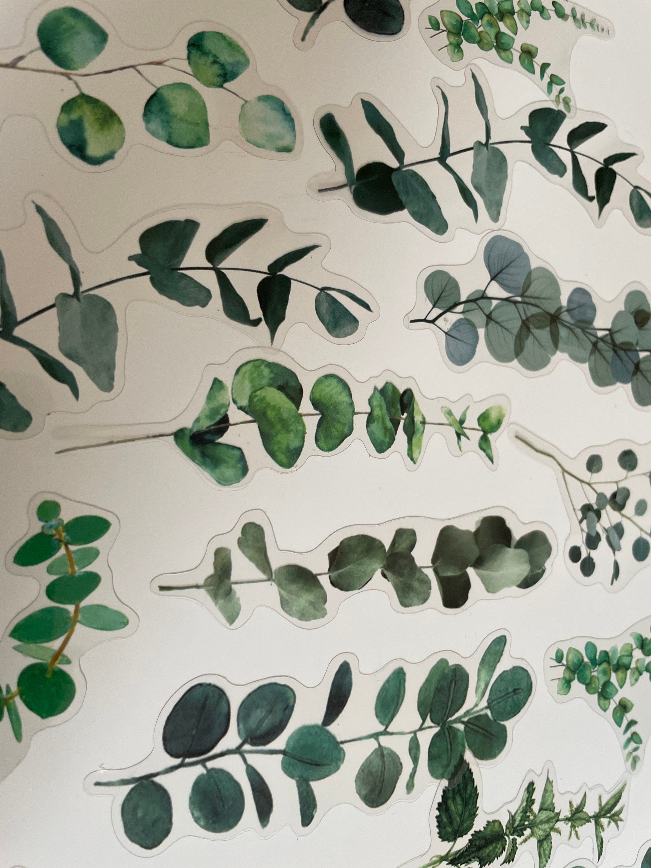 Set of Eucalyptus Stickers Green Leaves Orange Leaves Plant - Etsy