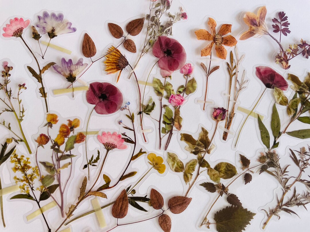 Dried Flowers Sticker Set, Wild Flower Bouquet Stickers, Wildflowers ...