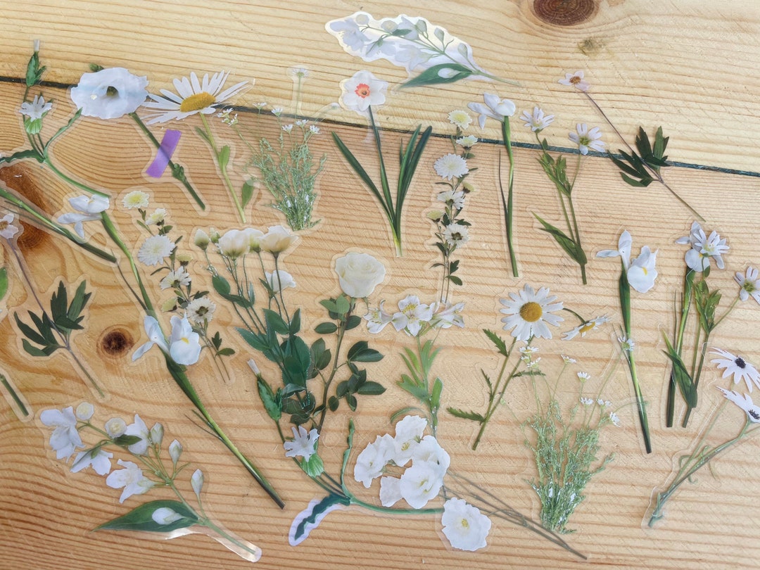 10 White Flowers Sticker Set, Lily Stickers, Rise, Daisy Stickers ...