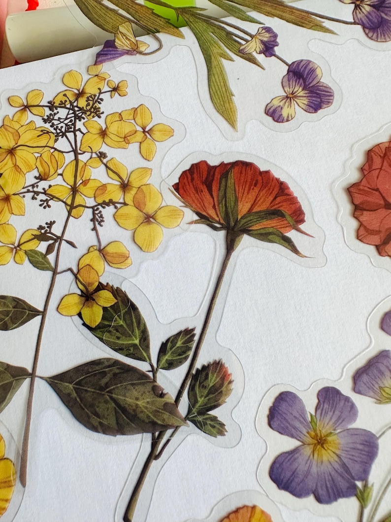 Dried Flowers Sticker Set, Wild Flower Bouquet Stickers, Wildflowers ...