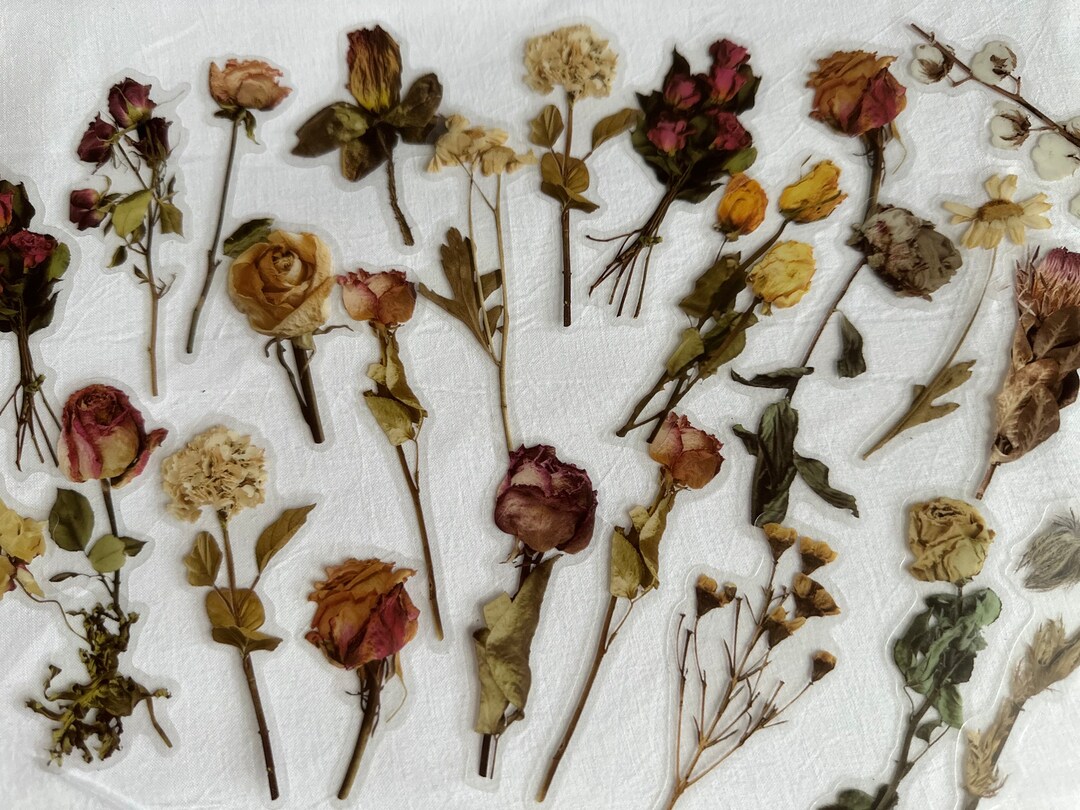 10 Dried Flower Stickers, Journaling Stickers, Pressed Flower Stickers ...