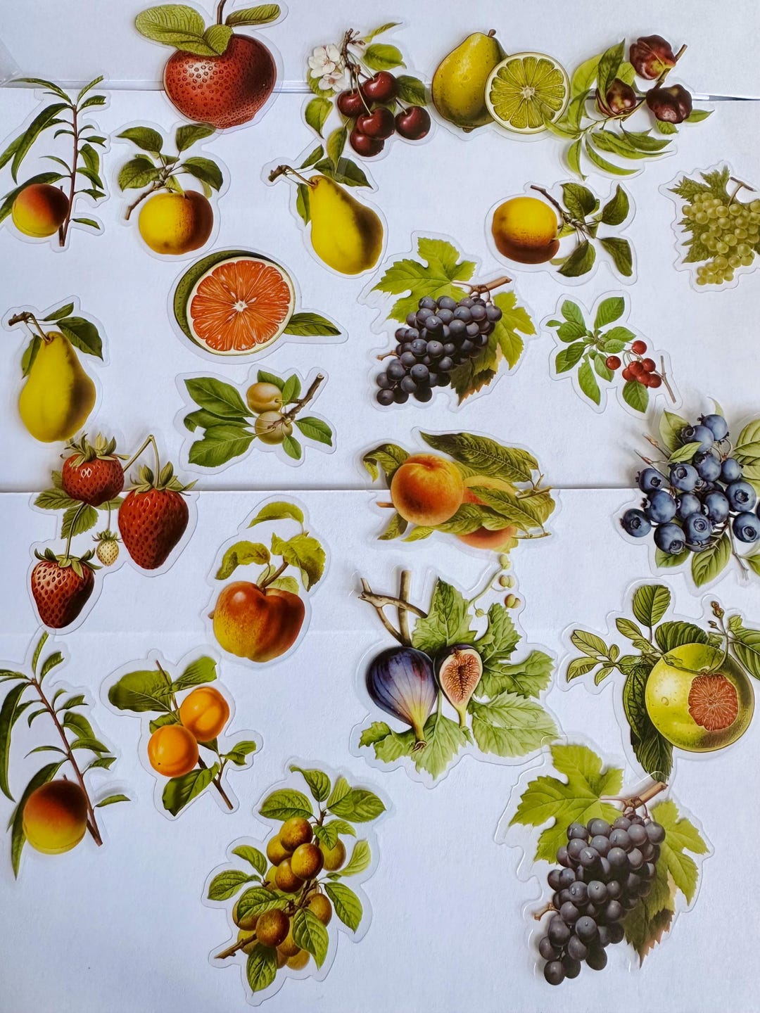 Fruit Sticker Set, Berry Stickers, Fruity Stickers, Strawberry Stickers ...