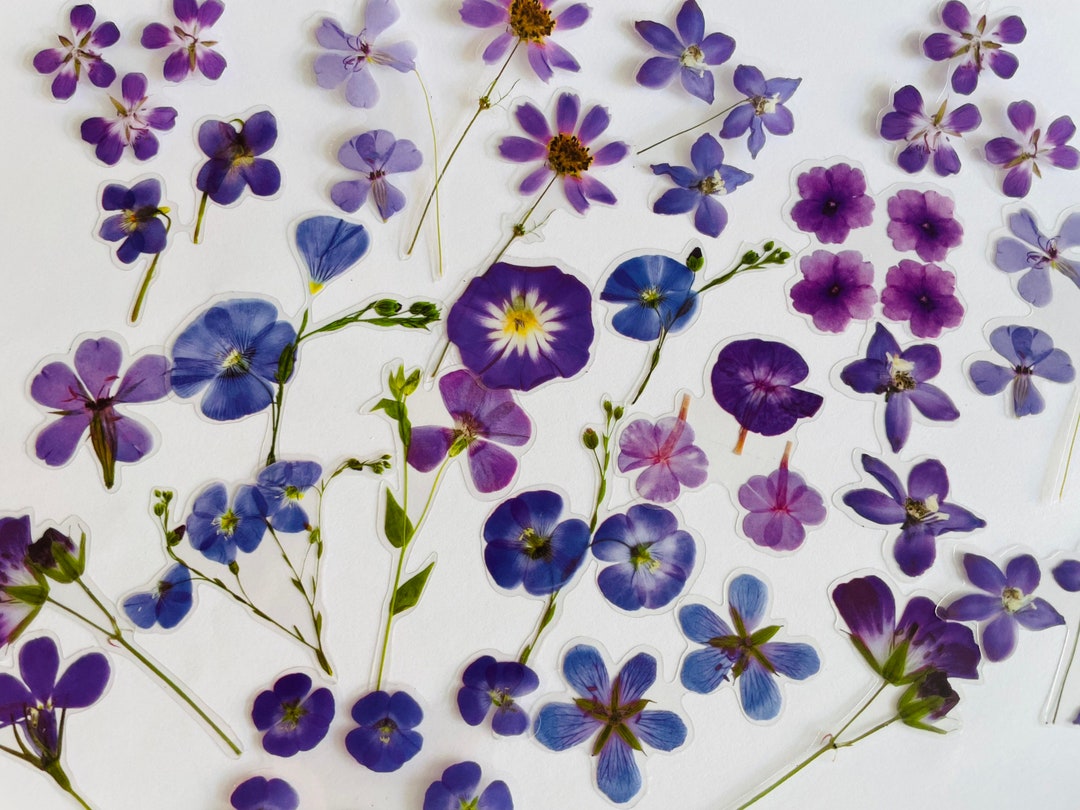 Purple Flowers Sticker Set, Wild Flower Bouquet Stickers, Pansy ...