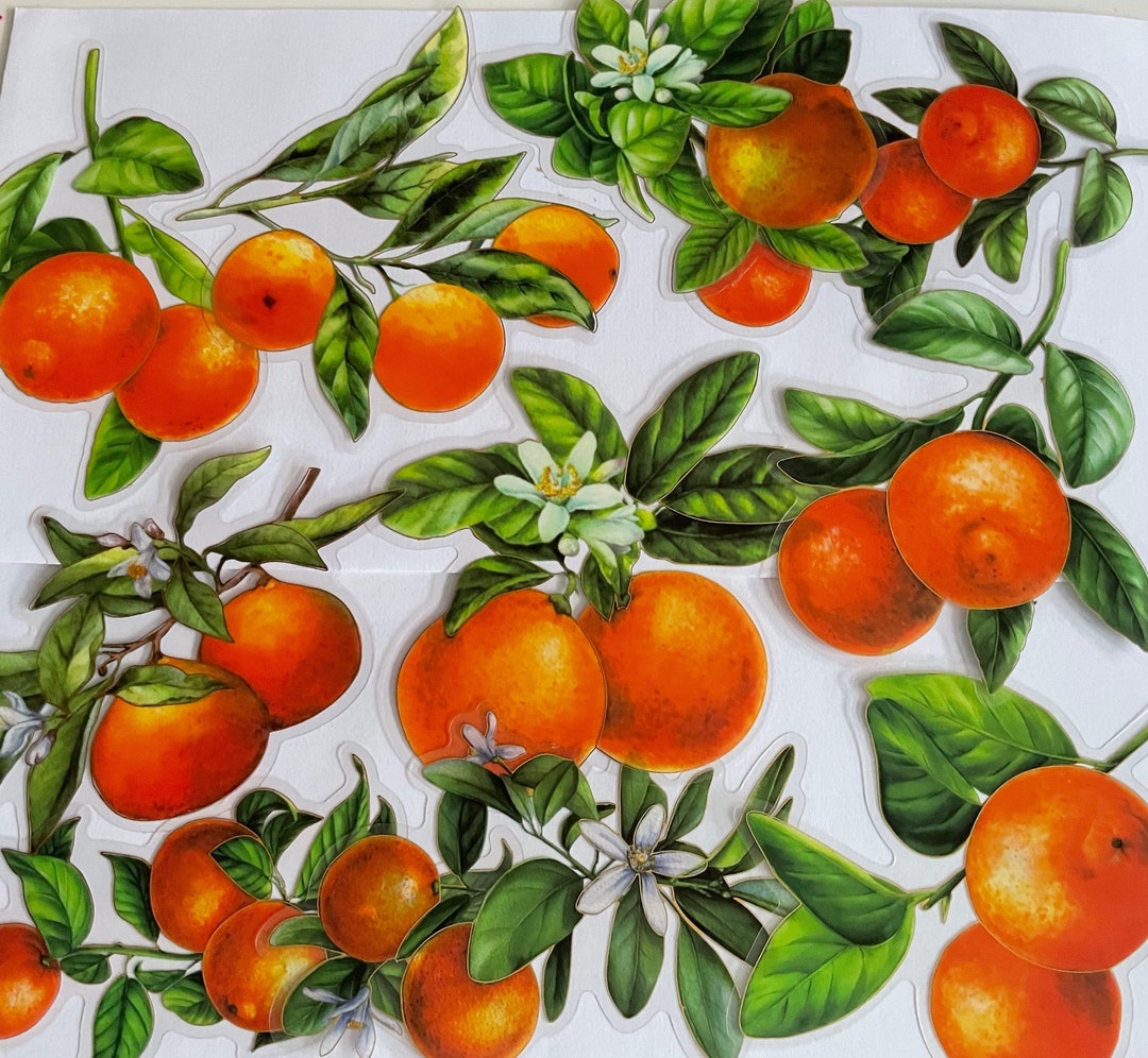 Orange Lemon Fruit Sticker Set, Citrus Stickers, Fruity Stickers ...