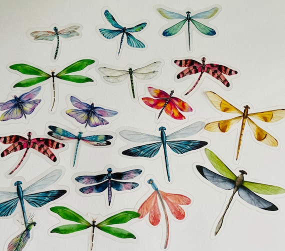 Dragonfly Sticker Sets Bullet Journal Stickers Craft Nature - Etsy
