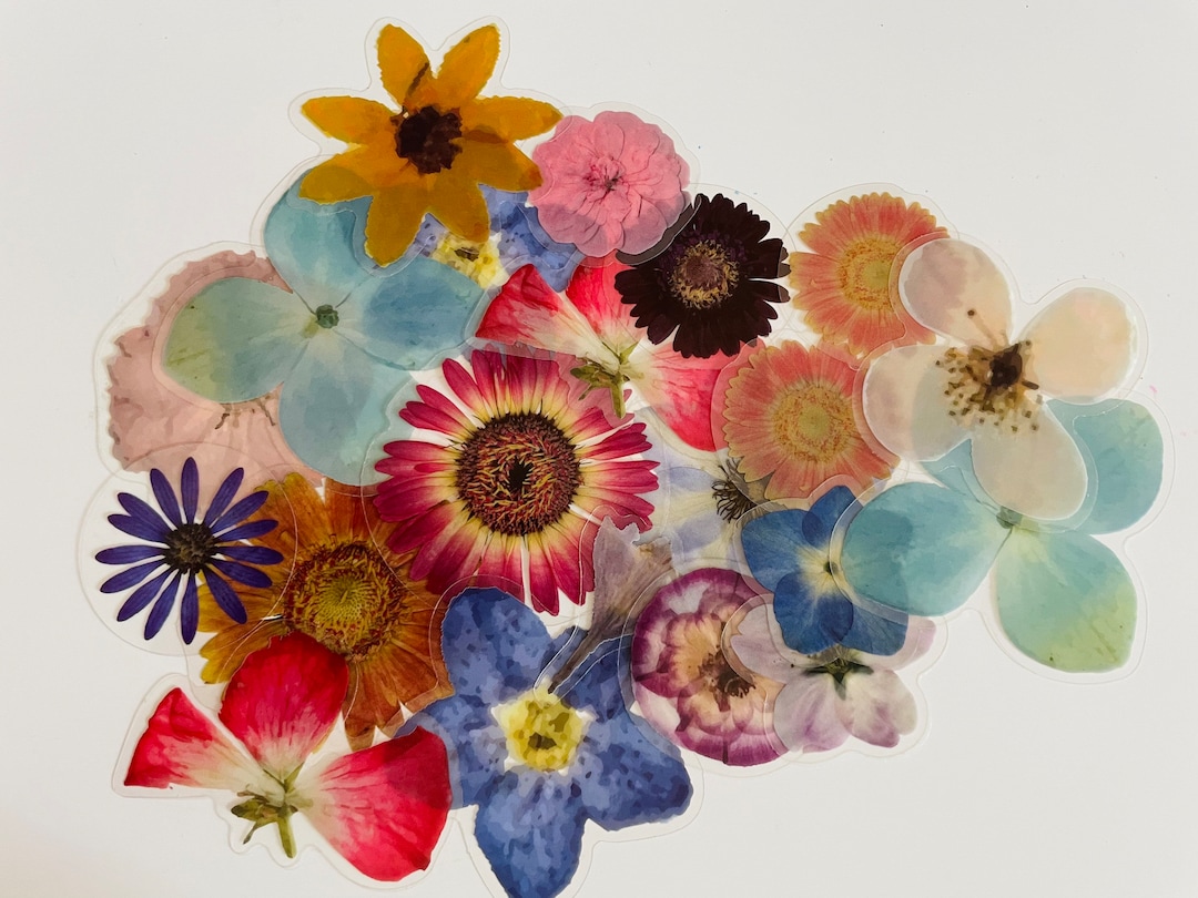 10 Pressed Flower Sticker Pack | Waterproof Reusable Set | Clear Backed ...