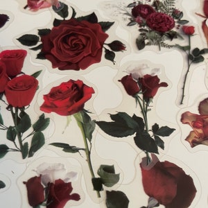 Dark Red Rose Pink Flowers Sticker Set, Rose Stickers, Wild Flower ...