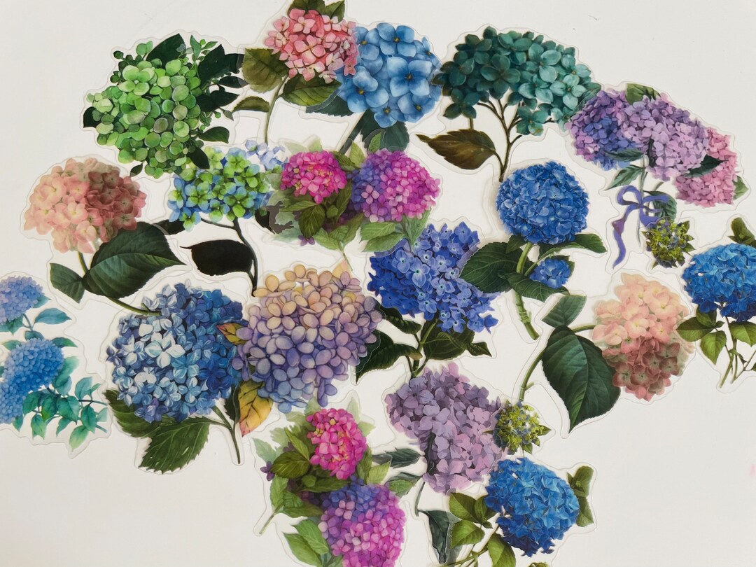 Set of Hydrangea Floral Stickers Flower Plants Craft Stickers, Bullet ...