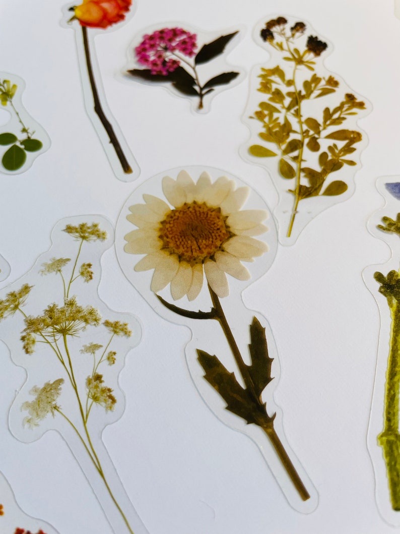 Yellow Flowers Sticker Set, Wild Flower Bouquet Stickers, Wildflowers ...
