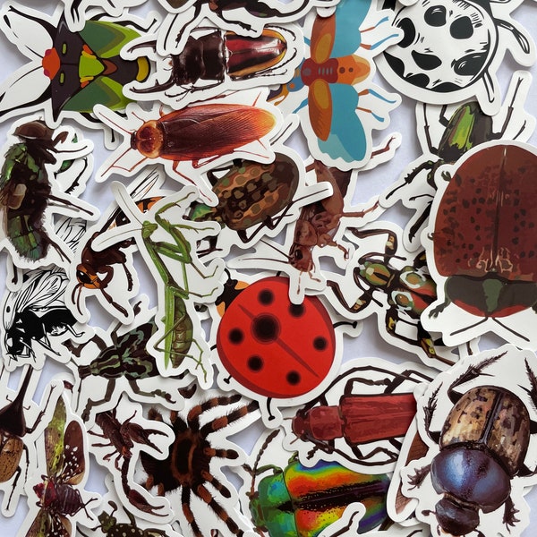 Insect Wall Stickers - Etsy UK