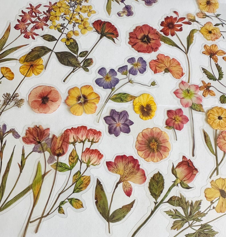 Dried Flowers Sticker Set, Wild Flower Bouquet Stickers, Wildflowers ...