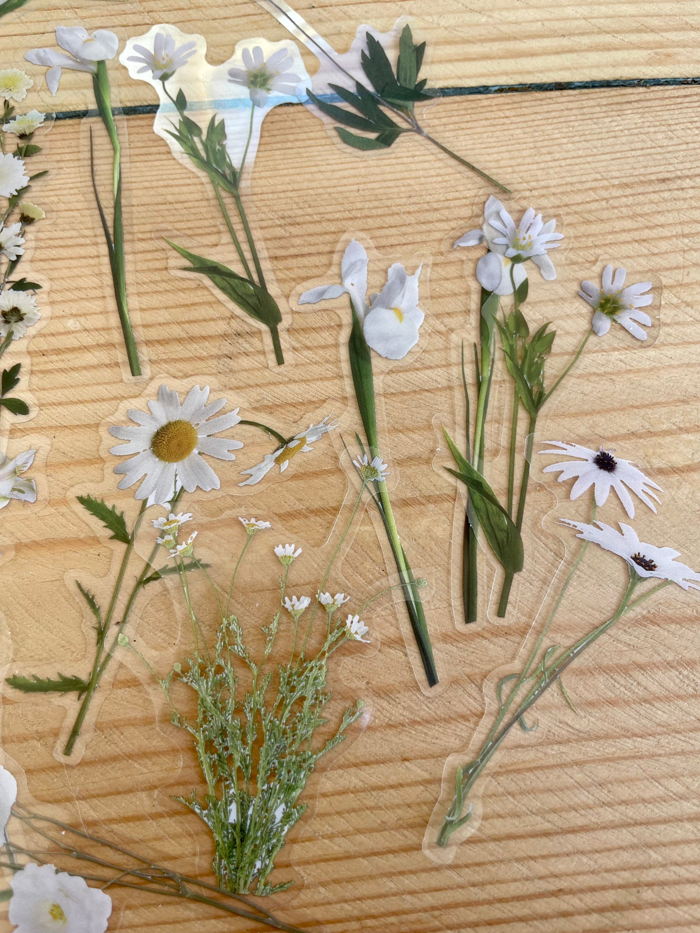 10 White Flowers Sticker Set, Lily Stickers, Rise, Daisy Stickers ...
