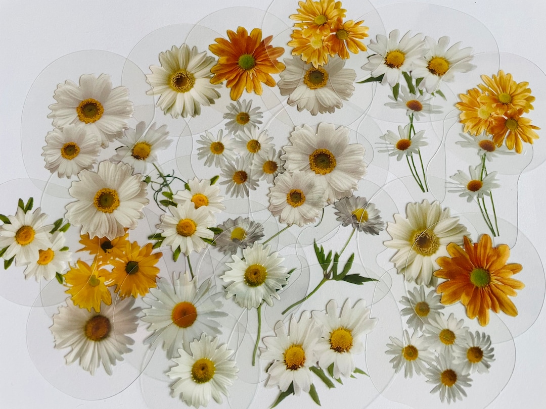 10 Daisy Flowers Sticker Set, Flower Stickers, Meadow , Daisy Stickers ...