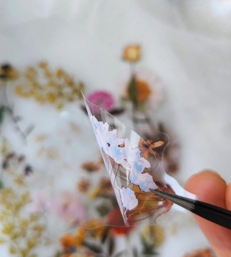 Dried Flowers Sticker Set, Wild Flower Bouquet Stickers, Wildflowers ...