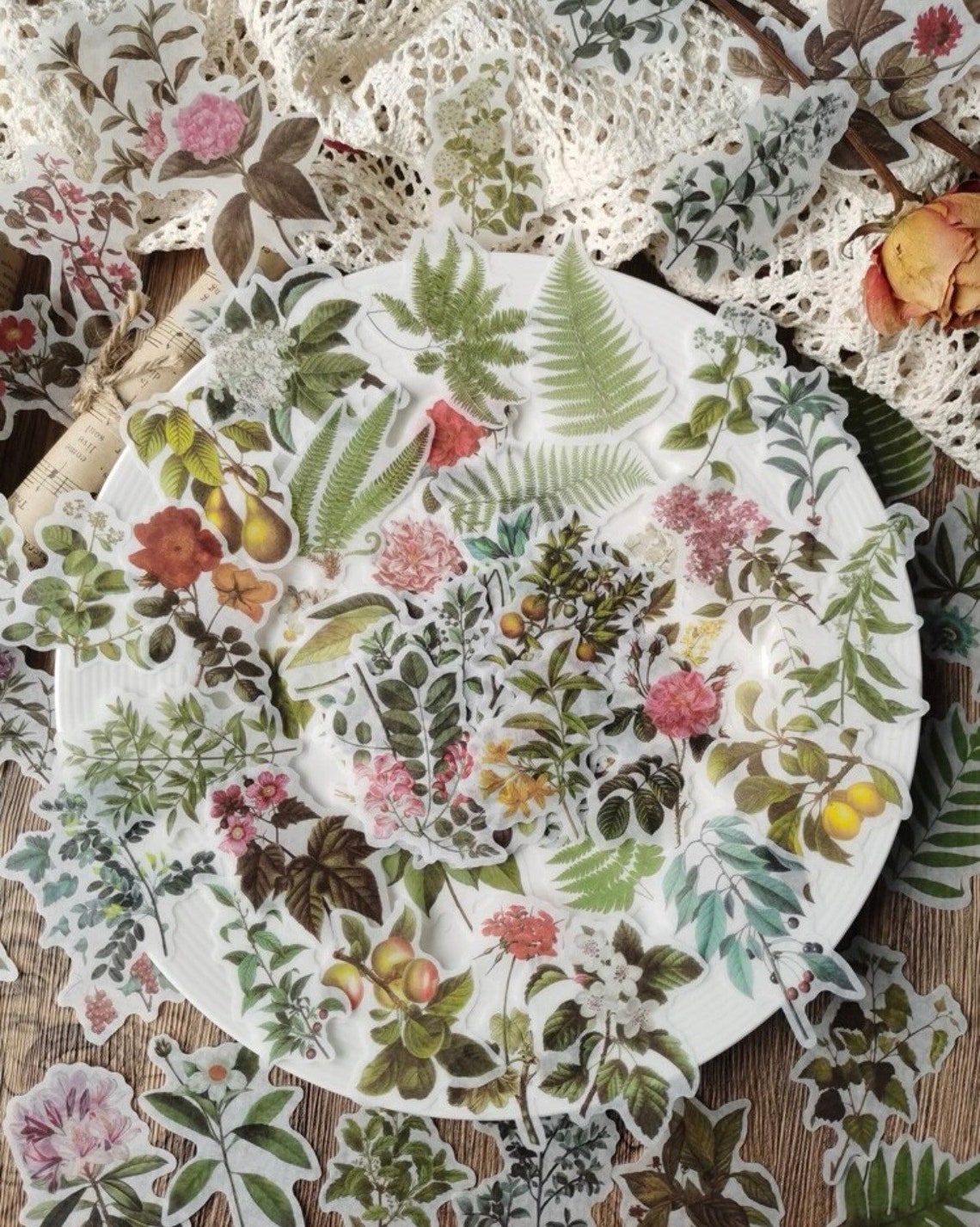10 Mixed Leave Sticker Pack |white Backed | Realistic | Floral Stem ...