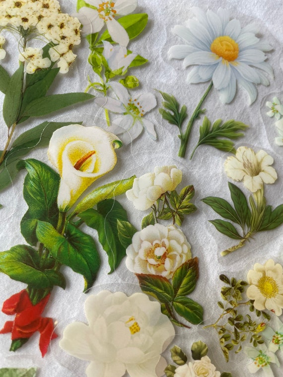 10 White Flowers Sticker Set Lily Stickers Rise Daisy - Etsy