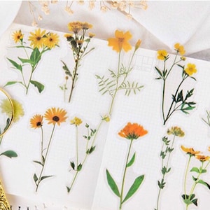 10 White Flowers Sticker Set, Lily Stickers, Rise, Daisy Stickers ...