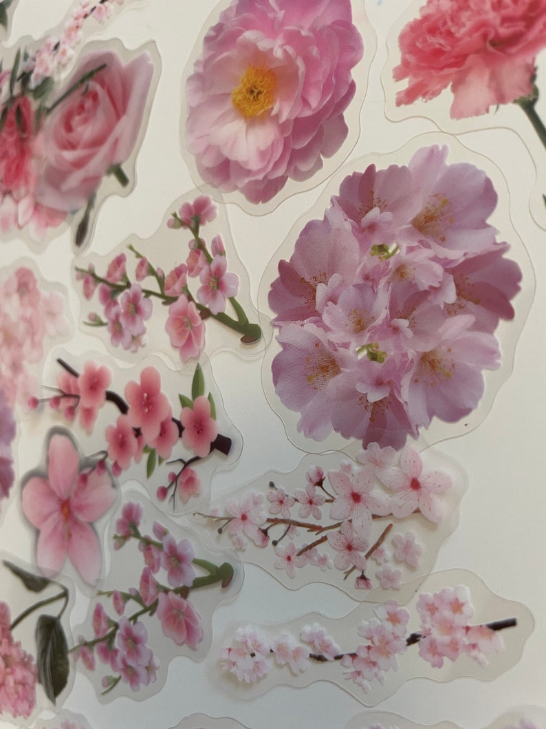 Pink Blossom Flowers Sticker Set Sakura Blossom Stickers - Etsy