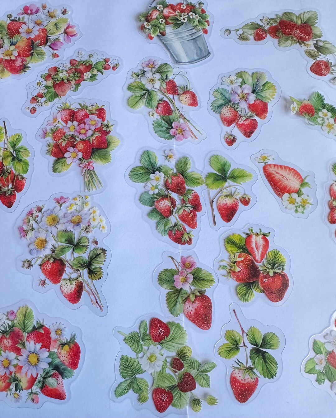 Red Fruits Sticker Set, Berry Stickers, Fruity Stickers, Strawberry ...