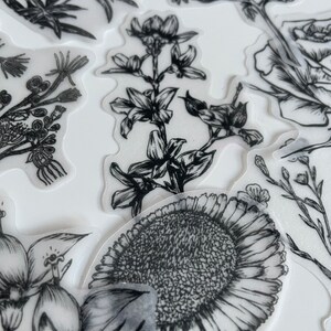 10 Black and White Flower Sticker Pack Waterproof Reusable Set Clear ...