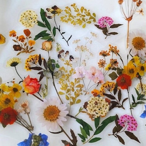 Dried Flowers Sticker Set, Wild Flower Bouquet Stickers, Wildflowers ...